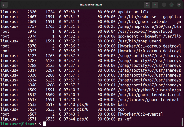 How to Kill Processes in Linux \ Ubuntu? - Dracula Servers Tutorials