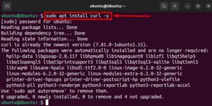 Wget and Curl for Downloading Files in Linux - A Complete Guide - Dracula Servers Tutorials