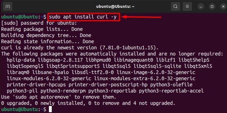 Wget and Curl for Downloading Files in Linux - A Complete Guide - Dracula Servers Tutorials