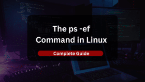 The ps -ef command | All in one Guide! - Dracula Servers Tutorials