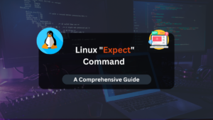 Linux "Expect" Command - Complete Guide - Dracula Servers Tutorials
